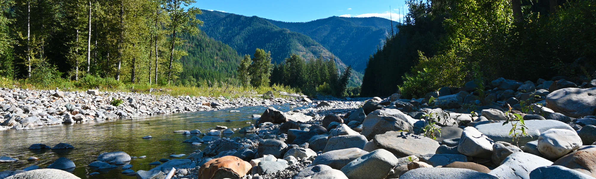 Free Camping In The Cabinet Mountains By Lightning Creek, ID